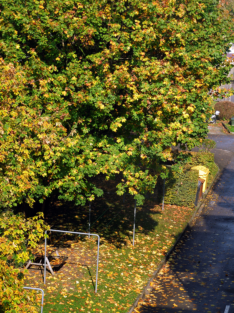 MASSIVE VOODOO: Tutorial: Visualizing Autumn