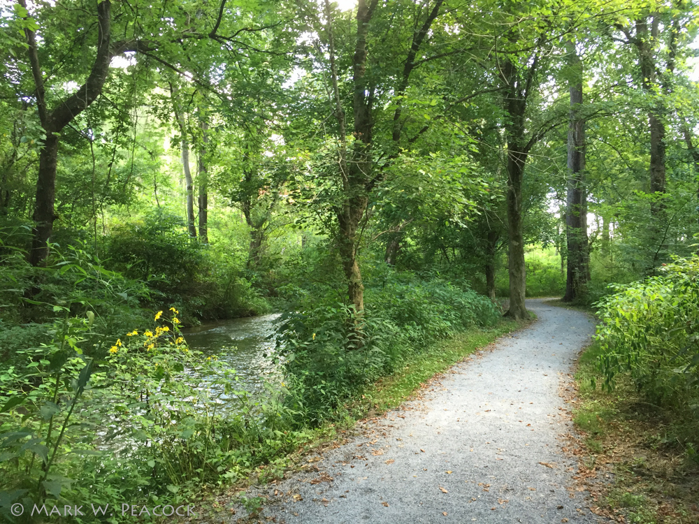 Appalachian Treks: go placidly