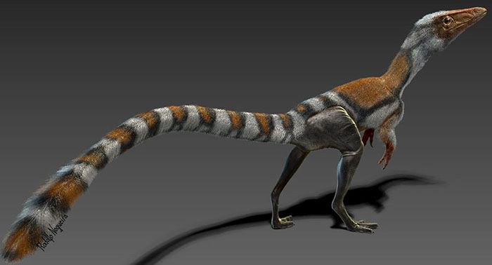 Mundo Pré-Histórico: Dinossauros do Brasil