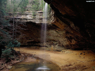 Wataha Szmaragdowych łez: Nasze tereny