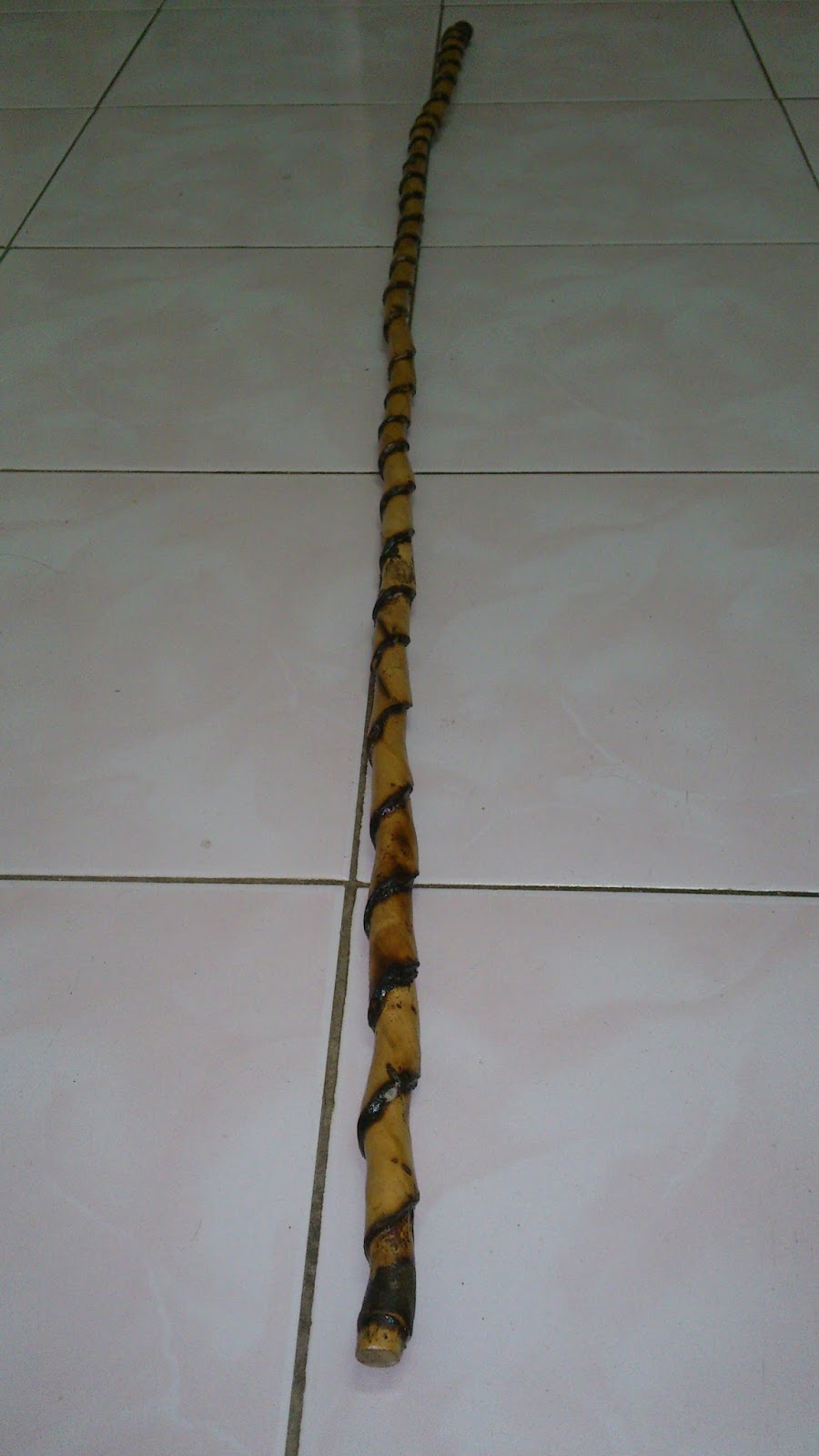 ZAMRUD TECHNOLOGY: Natural Unique & Rare (4) ~Pelbagai Kesenian Buluh ...