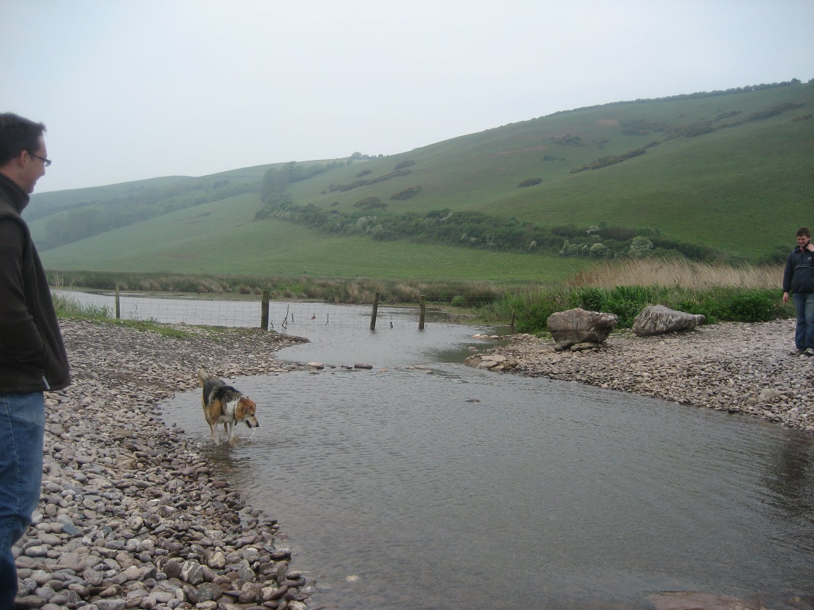 INSPIRED WALKS AROUND DEVON: Sharkham Point to Man Sands, Brixham ...