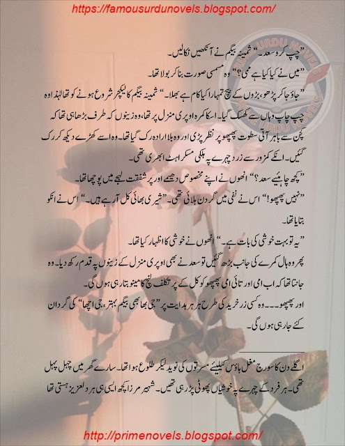 Free Urdu Digests: Suno aey chand si larki novel by Fiza Batool complete