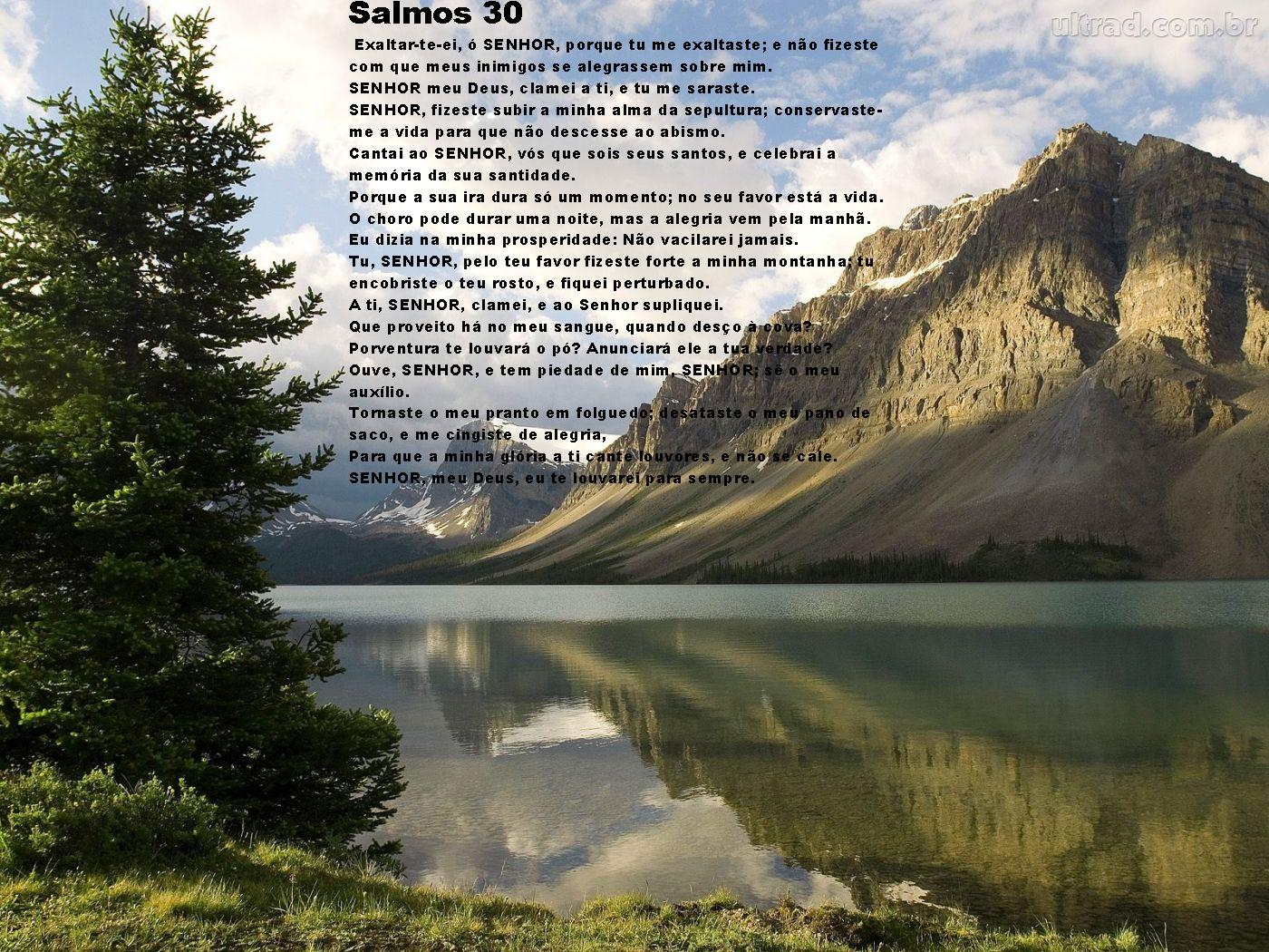 SALMOS: SALMO 30