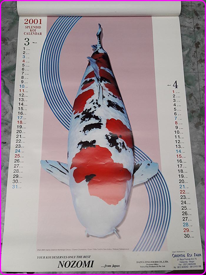 STUDIO ANTIQUE: KALENDER IKAN KOI Th. 2001 - CALENDER KOI JEPANG ...
