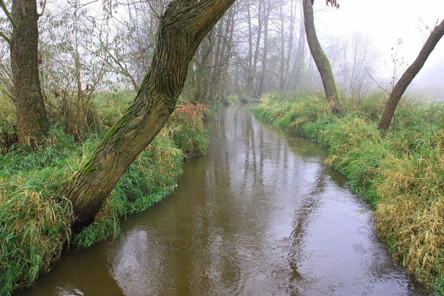 Świętokrzyskie Włóczęgi : Mglista świętokrzyska jesień
