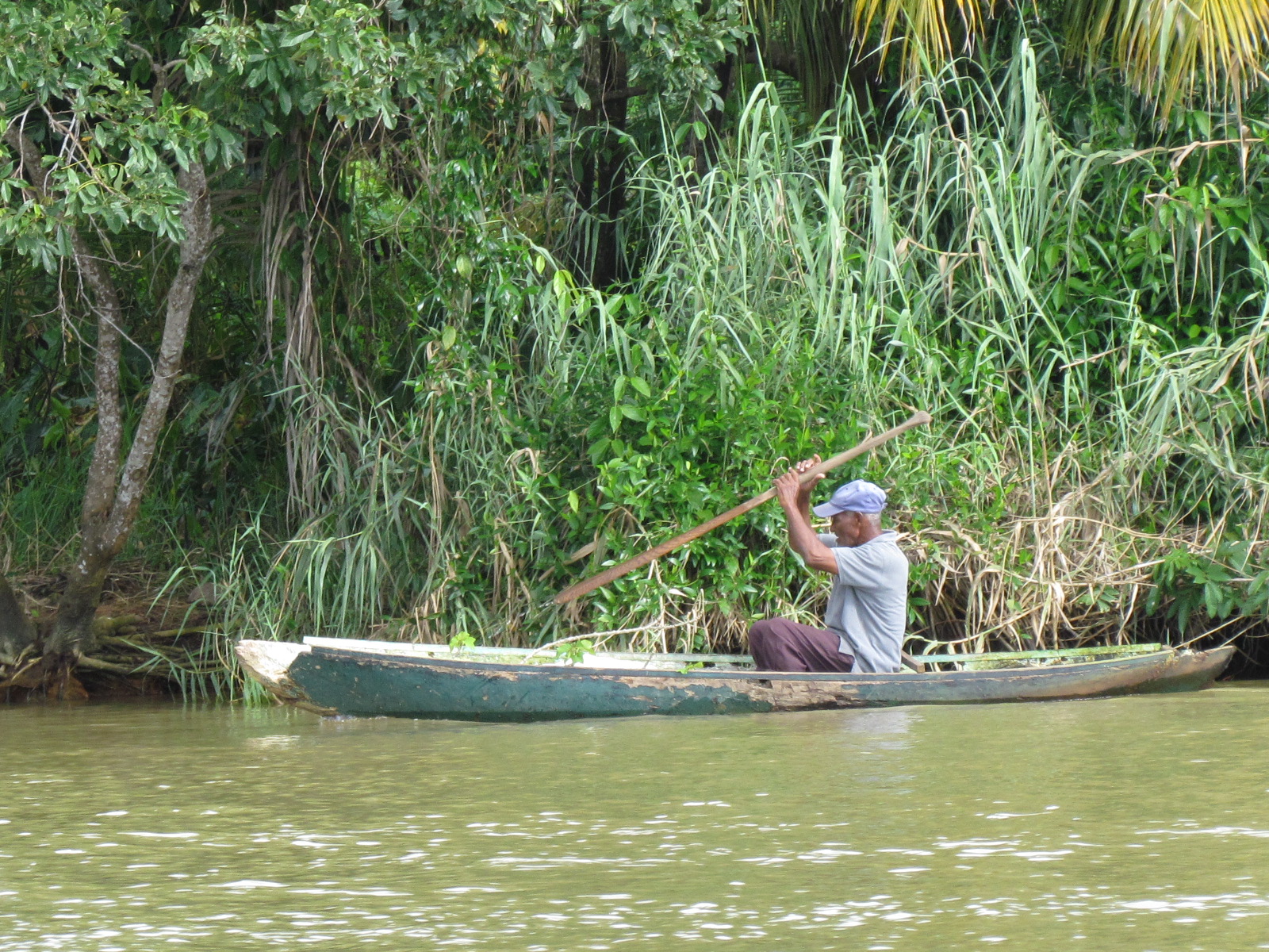 Indigenous Boats: Belizean Dugouts #4: Paddles and Paddling