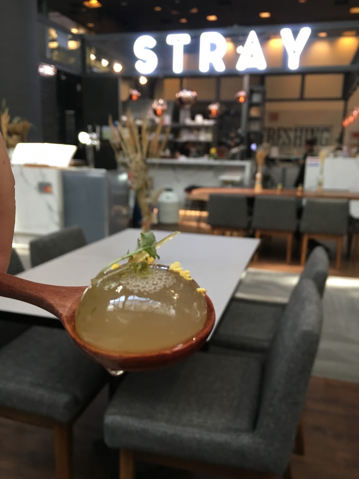 Stray Cafe by Fatcat - Singapore - Travel is my favorite Sport