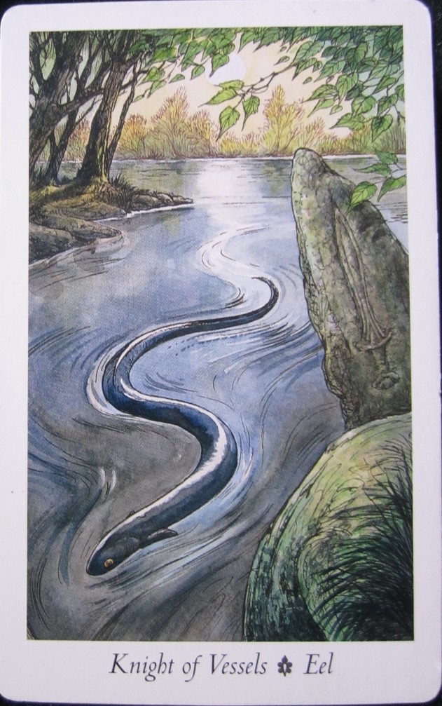 Shackled Spirit - Disability's Spiritual Toll