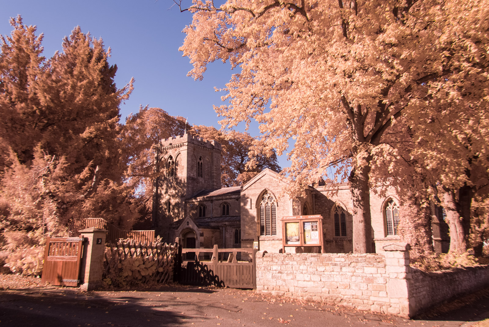 Infrared 100: Filtering a full-spectrum camera