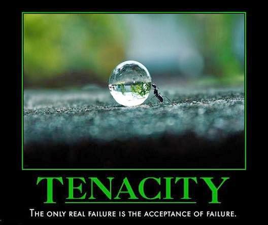 TENACITY THE ONLY FAILURE IS THE ACCEPTANCE OF FAILURE. - Quotes