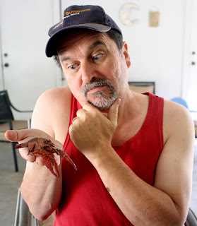 The 99 Cent Chef: July 2011