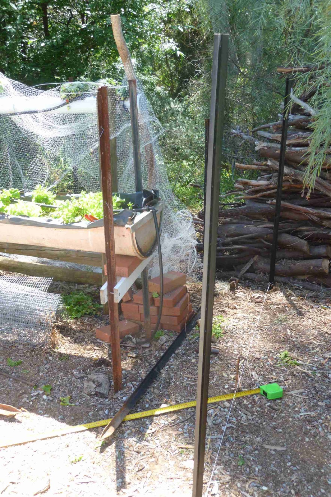 Musing's of a Gardener: Building a shade house from poly-pipe