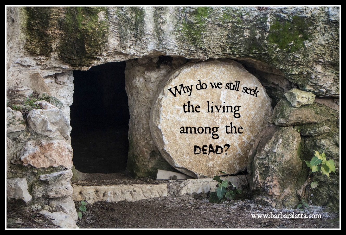 Navigating Life's Curves : Why Do We Still Seek the Living Among the Dead?