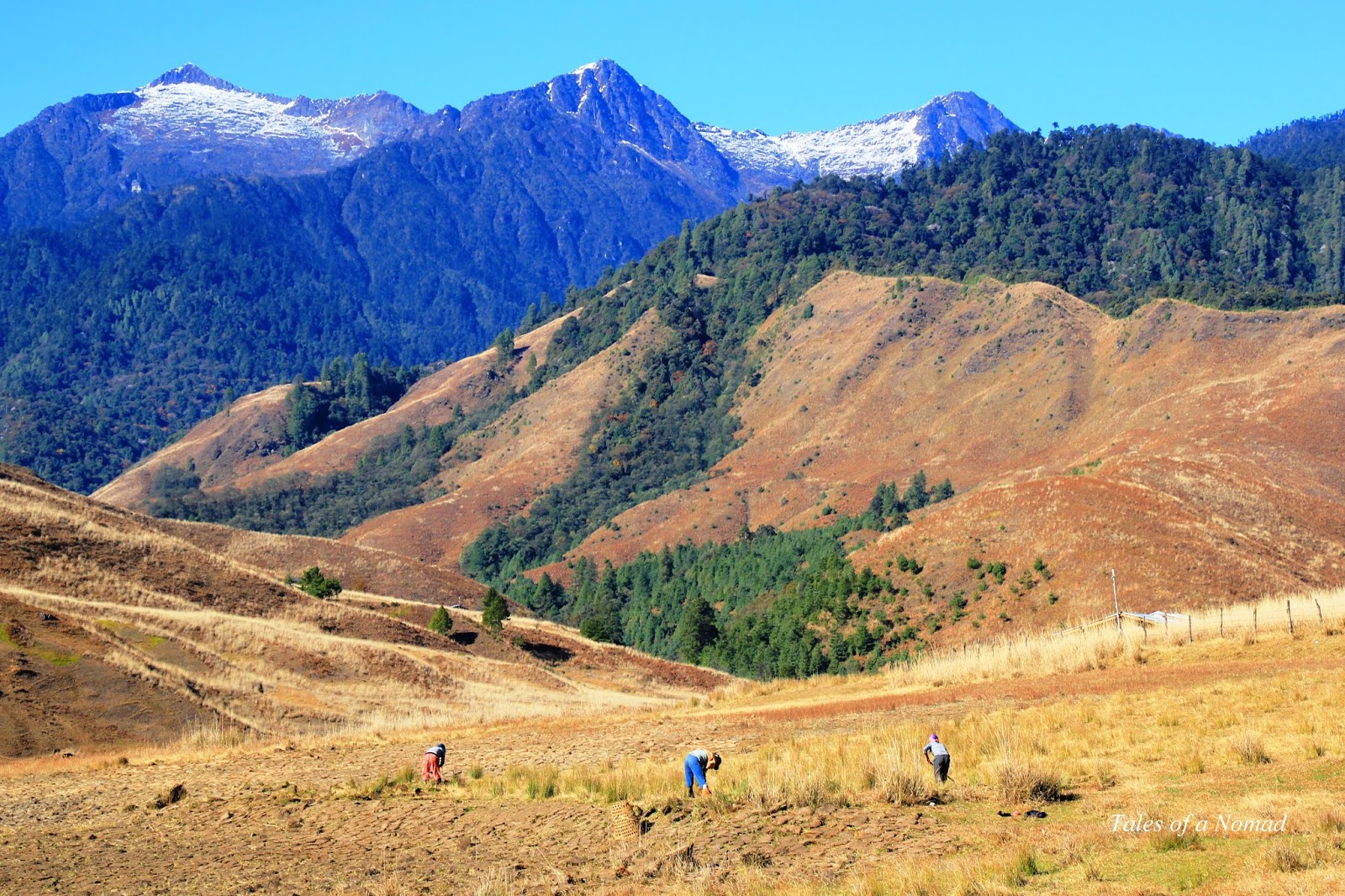 Tales Of A Nomad: Mechuka: A Valley Flanked by Breathtaking Landscapes