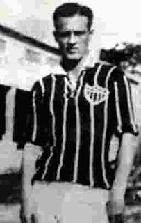 GALO DOIDO: Mario de Castro