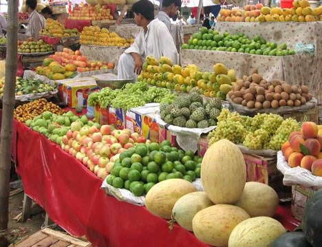 Welcome To Pakistan: Fruits and Crops