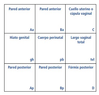 POPQ y prolapso genital