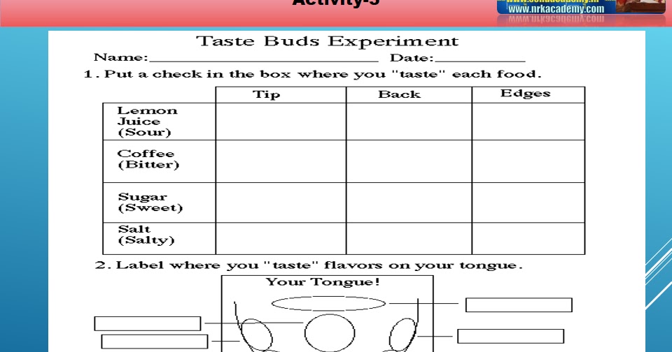 SONU ACADEMY: FROM TASTING TO DIGESTING- ACTIVITY-3