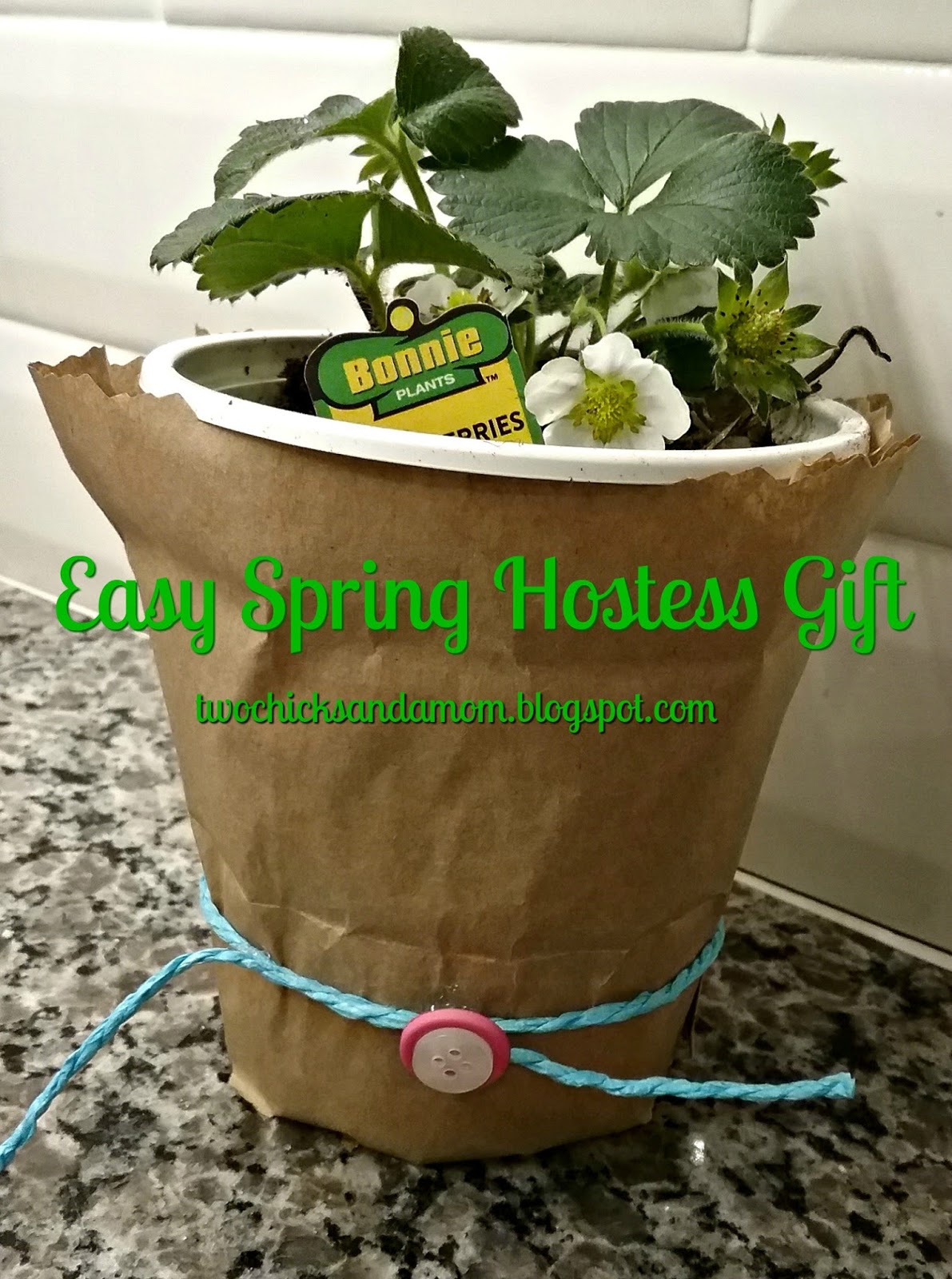 twochicksandamom.blogspot.com: SPRING SIMPLE GIFT