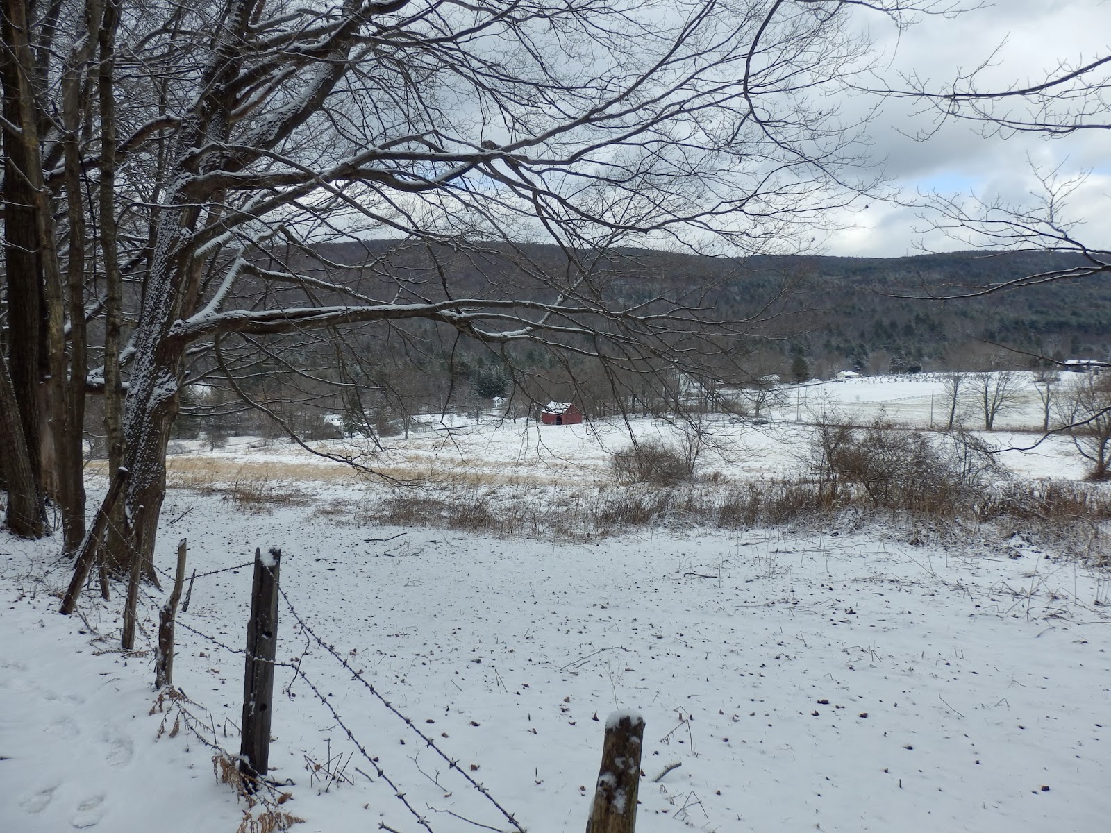 Walking Man 24 7: Tyringham Cobble