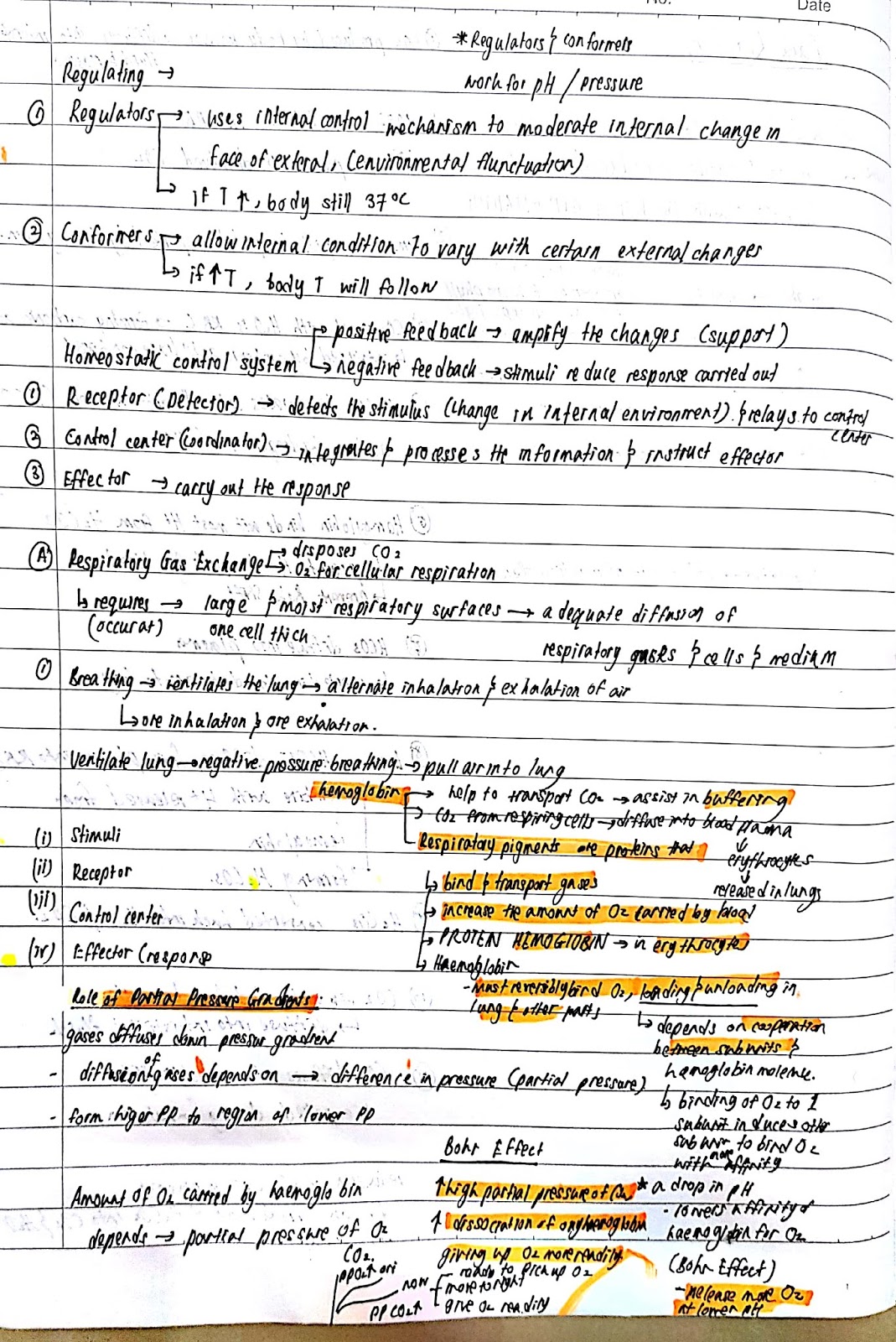 MUFY Biology Semester 1 Notes (RAW)
