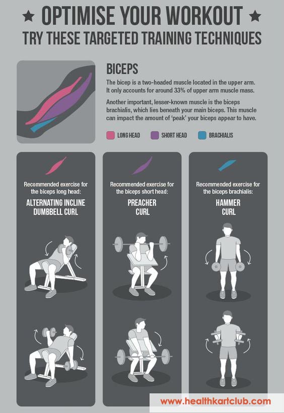 Best Arm Exercises - Master Your Muscles - Health Kart Club