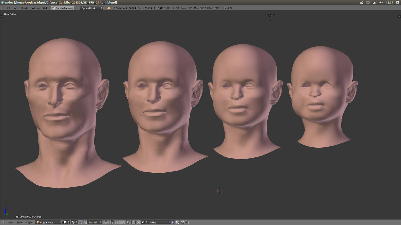 ATOR: Forensic facial reconstruction of an aboriginal child from Brazil