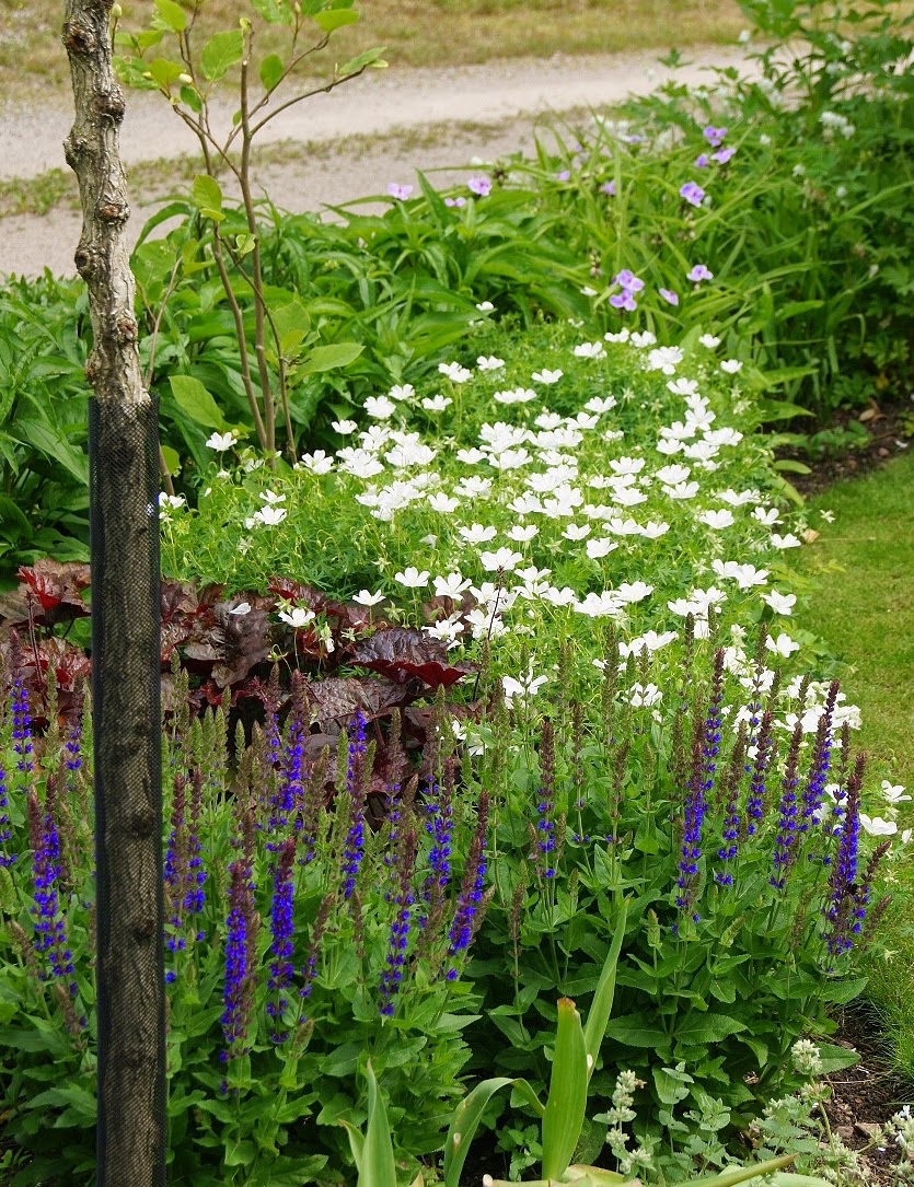 Mejrams!: Rabatt i förändring!