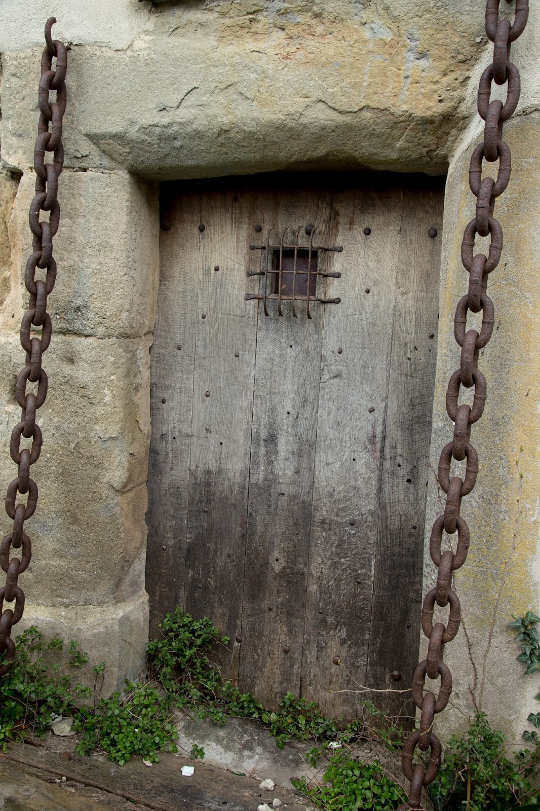 Chipster63 Photography: Fetchez la vache