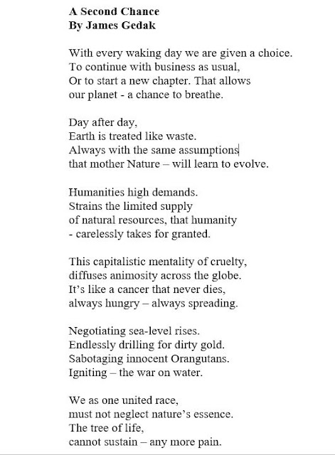 Post # 5 - A Second Chance: Poem By James Gedak