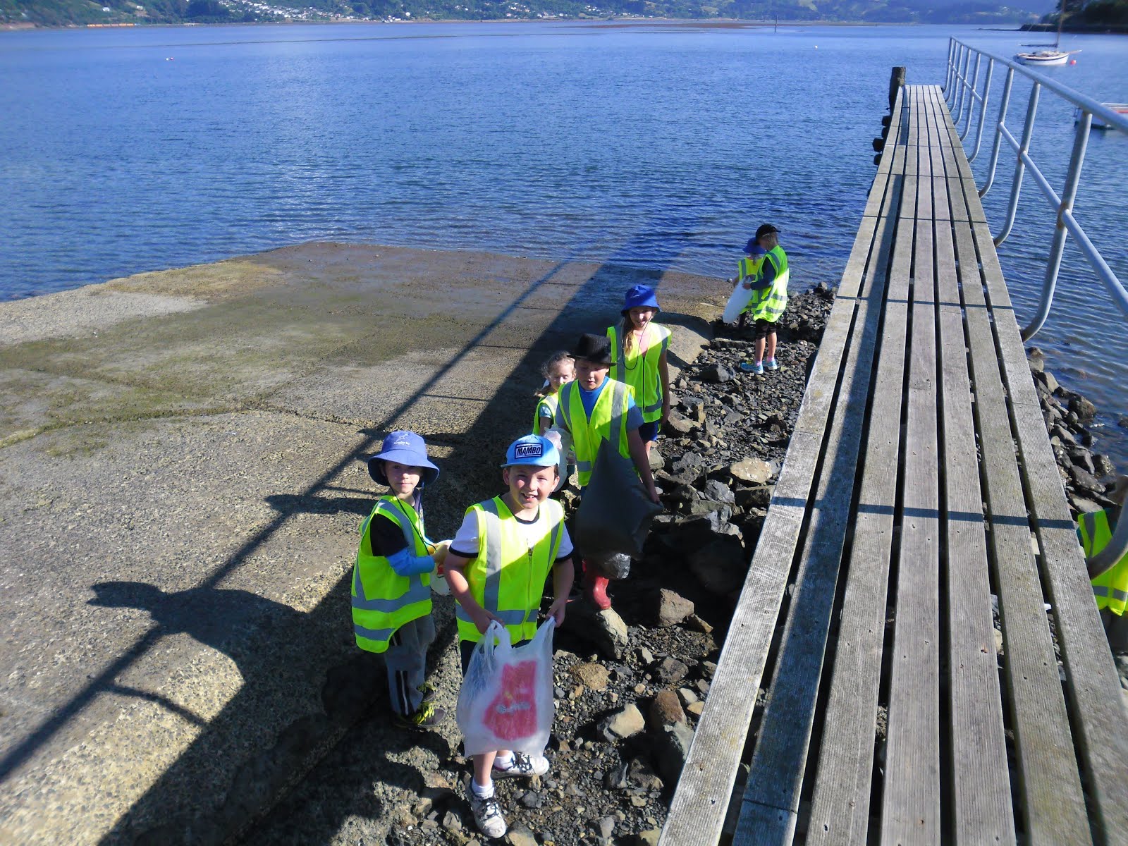 Room 1 Macandrew Bay School 2013: Beach Clean Up