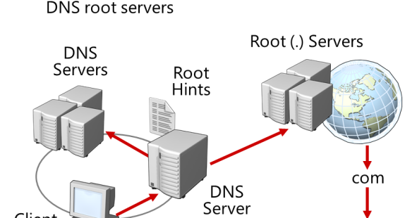 IT Learning: What Are Root Hints?