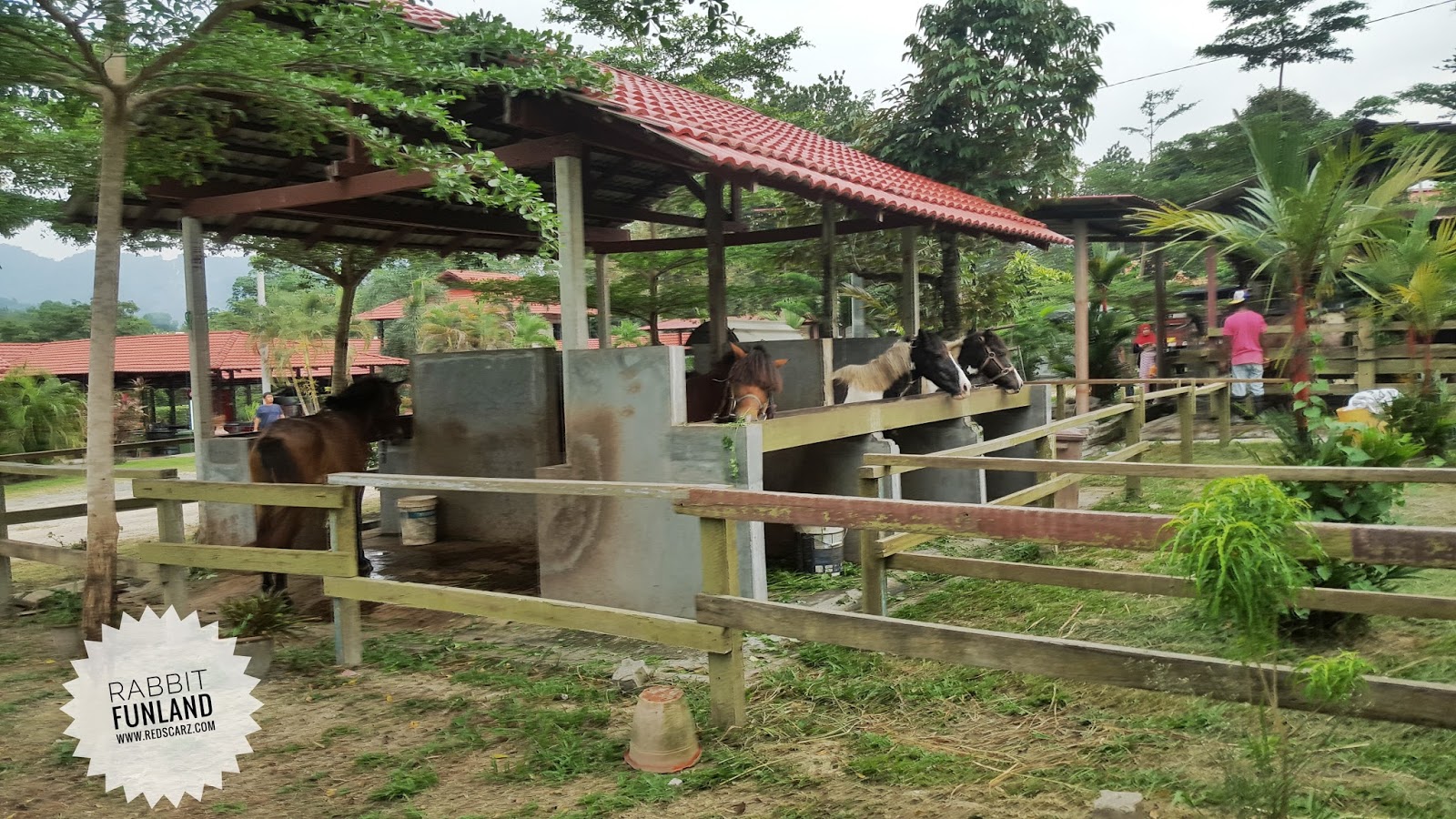 DAUS REDSCARZ: Rabbit Fun Land Broga berpindah ke Lenggeng, Negeri Sembilan