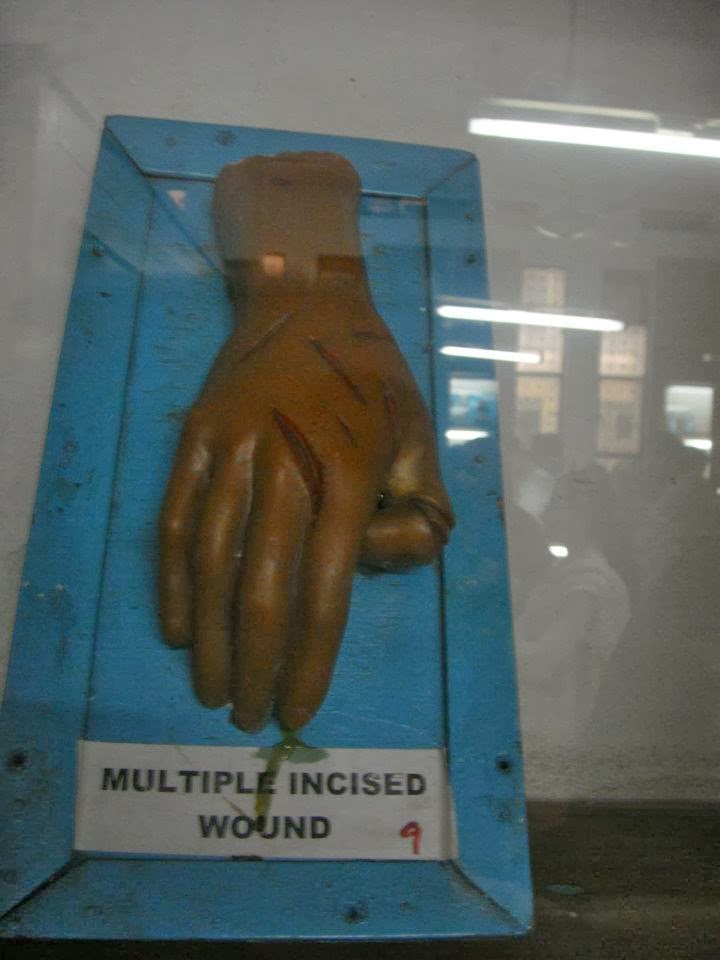 Forensic Models by Zunaira Mahmood (Batch (2008-2013)