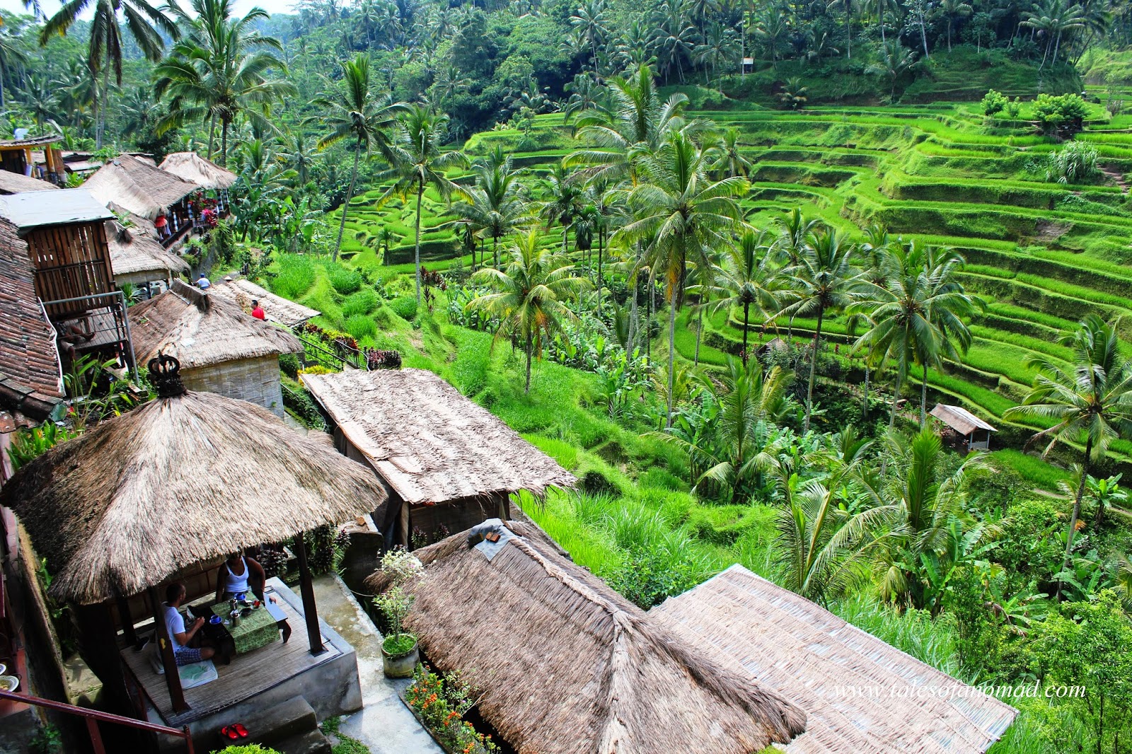 Tales Of A Nomad: Ubud- Cultural Capital of Bali...!!