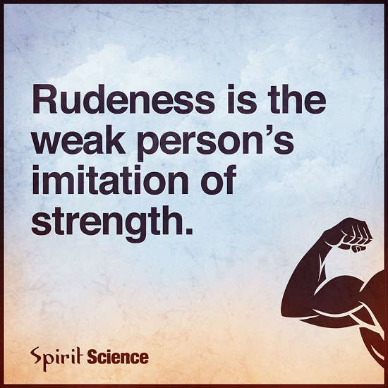 Rudeness is the weak person's imitation of strength. - 101 QUOTES