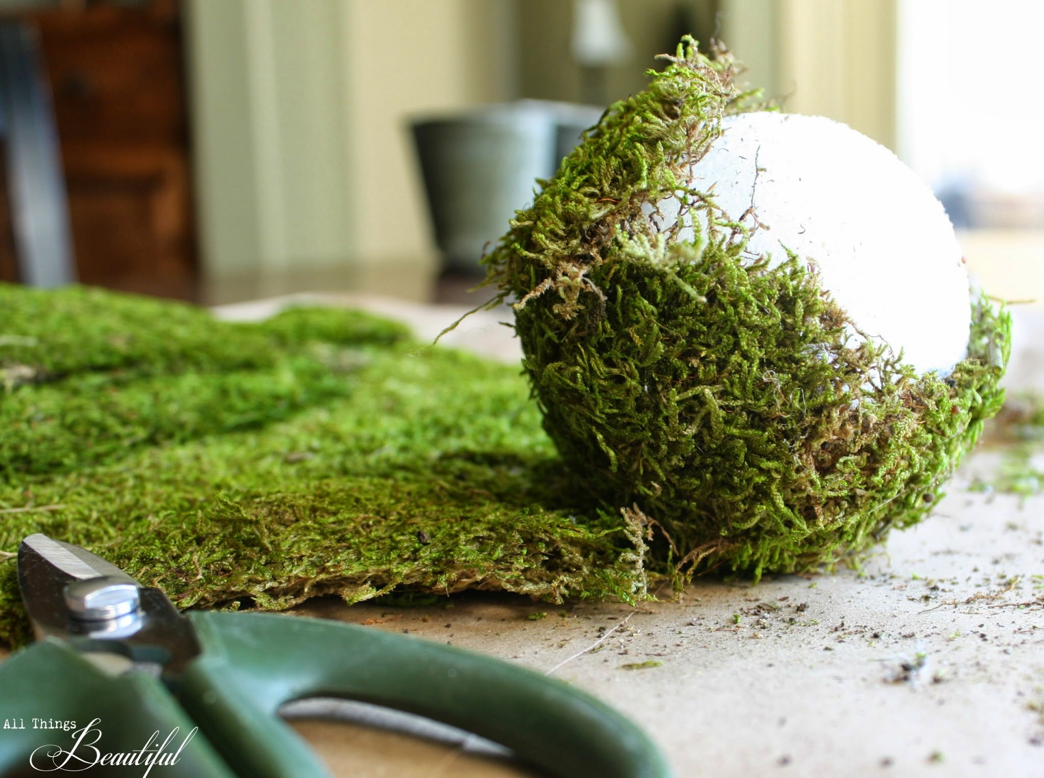 All Things Beautiful: DIY Moss Zinc Pots