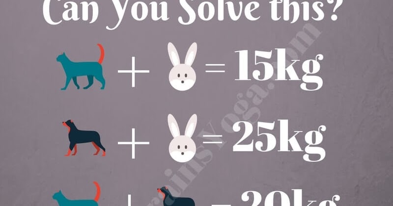 Maths Picture Puzzle for School Students
