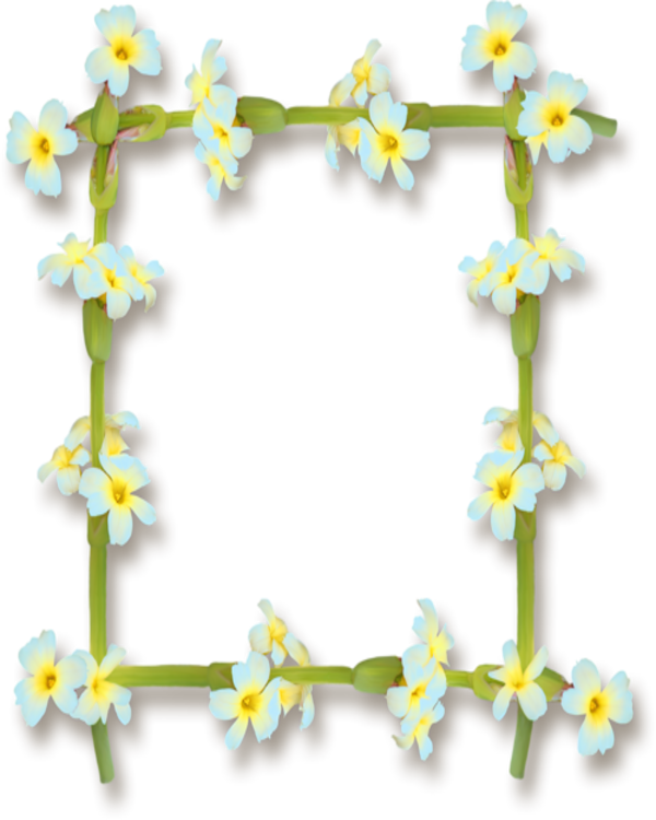 ForgetMeNot: spring frames