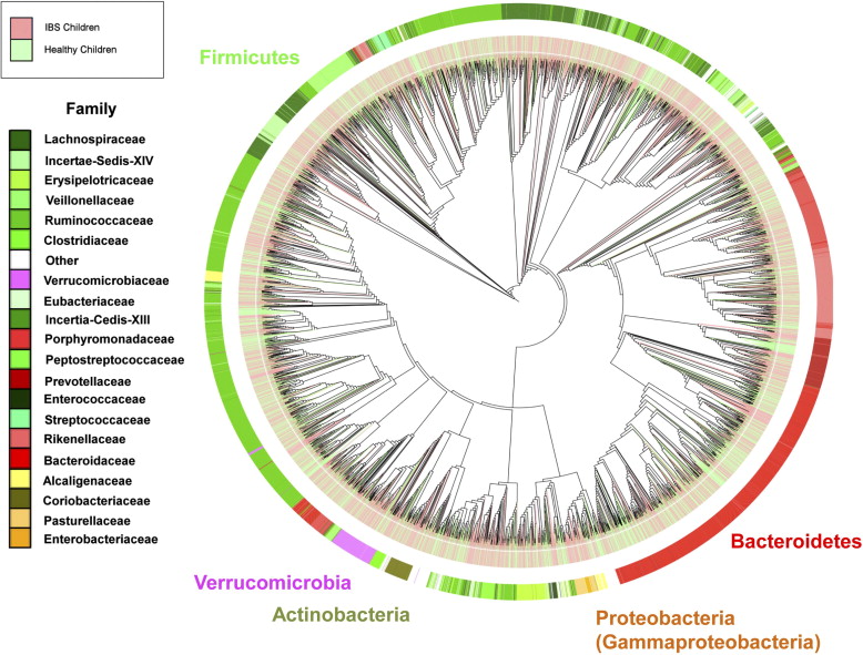 Full Spectrum Biology: Biodiversity in Human Gut Microbiome