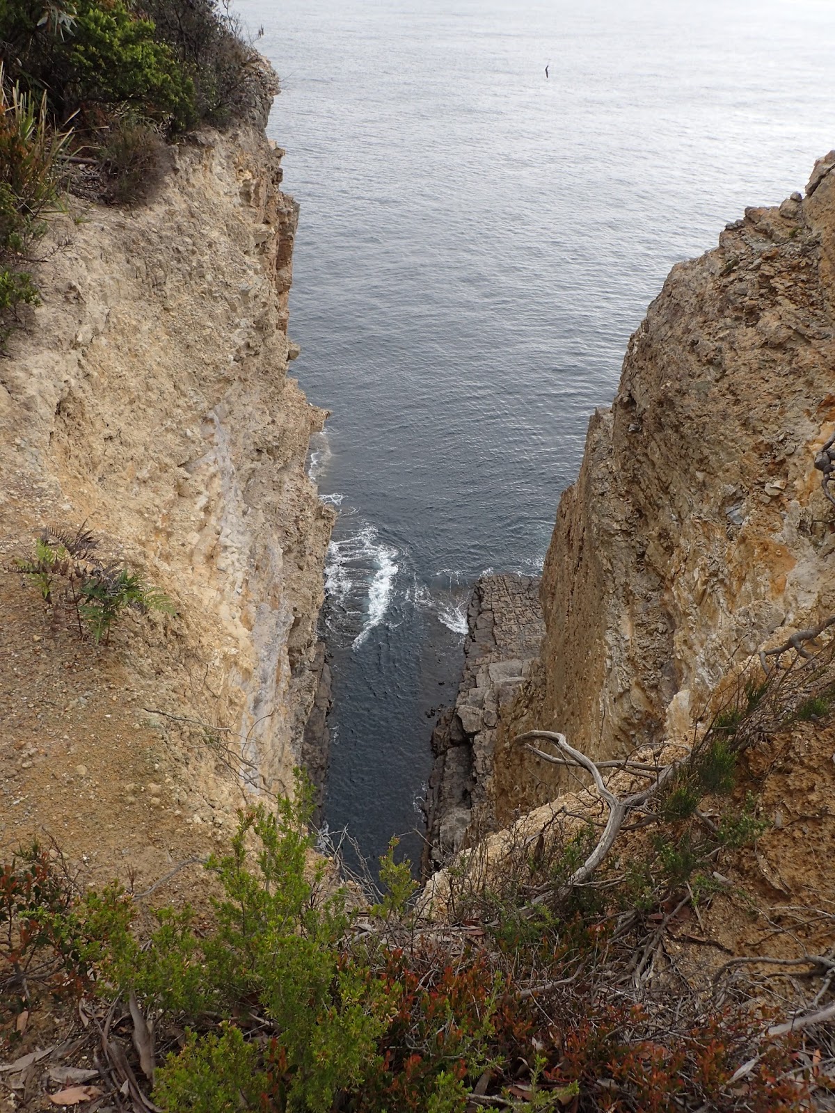 Waterfall Bluff | Hiking South East Tasmania