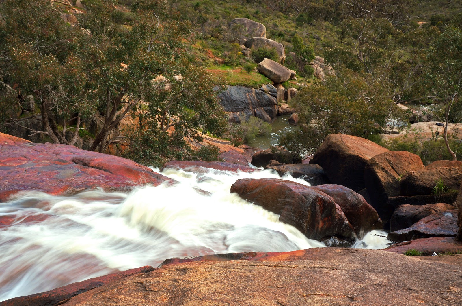Eagle View Walk Trail (John Forrest National Park) ~ The Long Way's Better