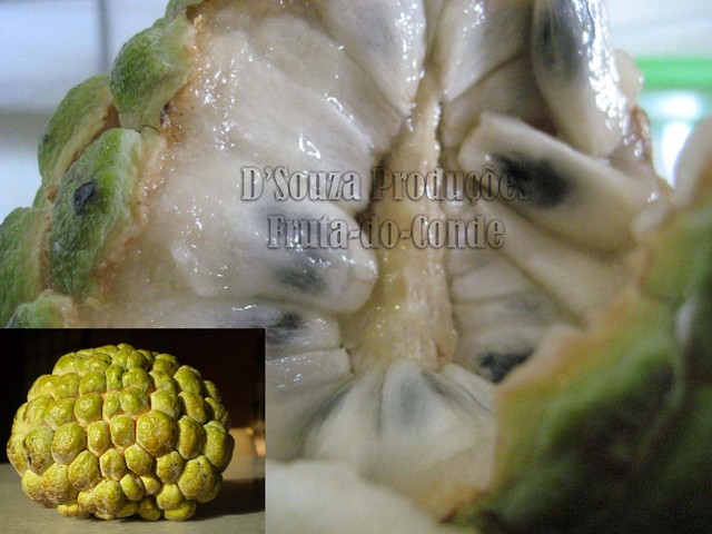 Ata - Annona squamosa L.