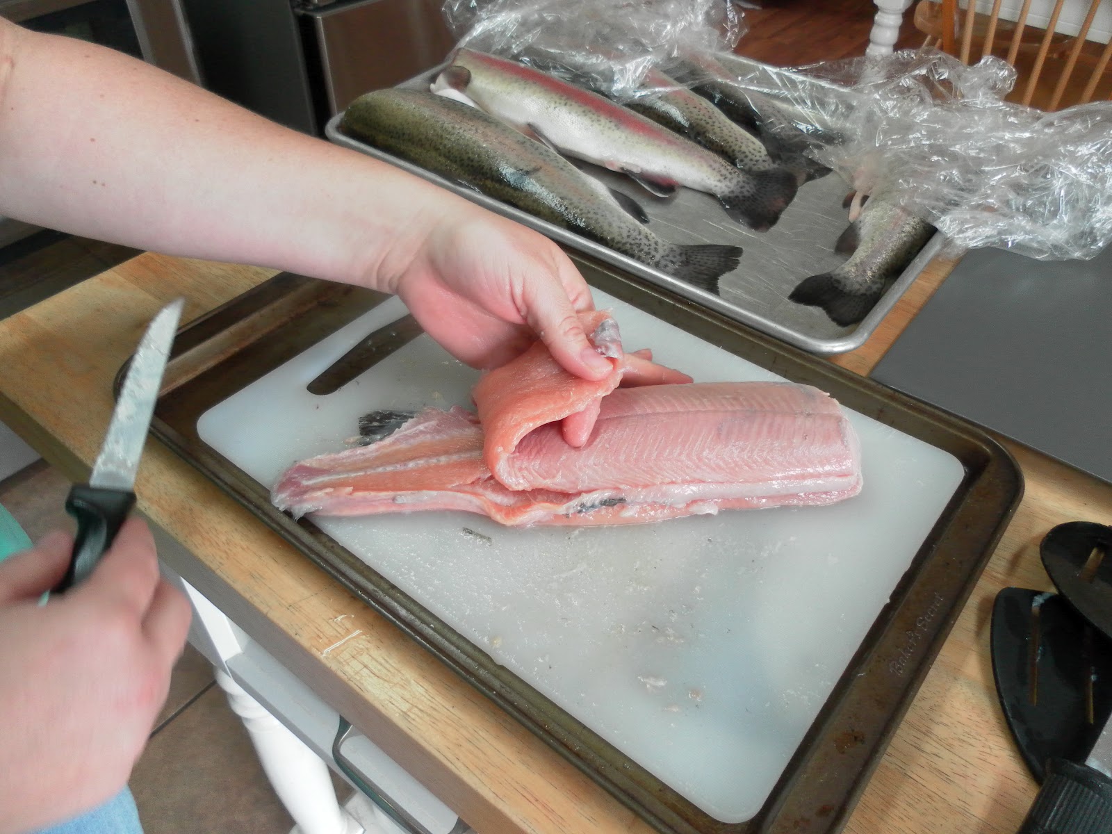 Nine for Dinner: How to Fillet a Fish