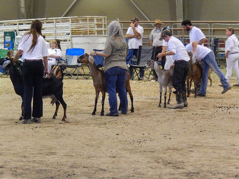 Southern University Ag Center and College of Agriculture: SU Ag Center ...