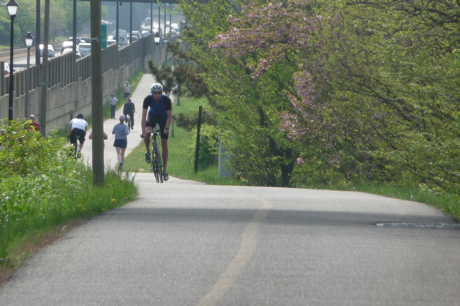 Ben's Journal: Custis Trail - Another Arlington Gem