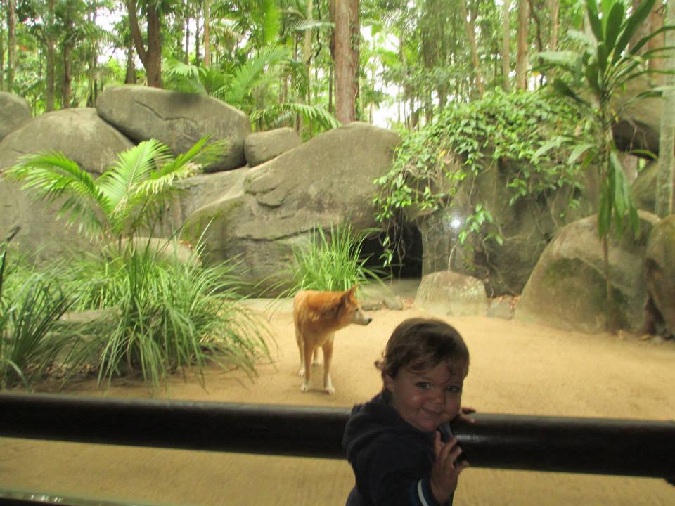 A Wandering Widow - Solo Travel: Australia Zoo, Queensland - Home of ...