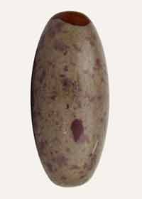 Banalinga Narmada River Story - Banalinga And Lord Shiva In Hinduism ...