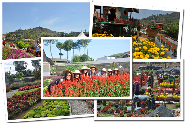 WELCOME to OUTBOUND KEBUN BEGONIA DI LEMBANG BANDUNG